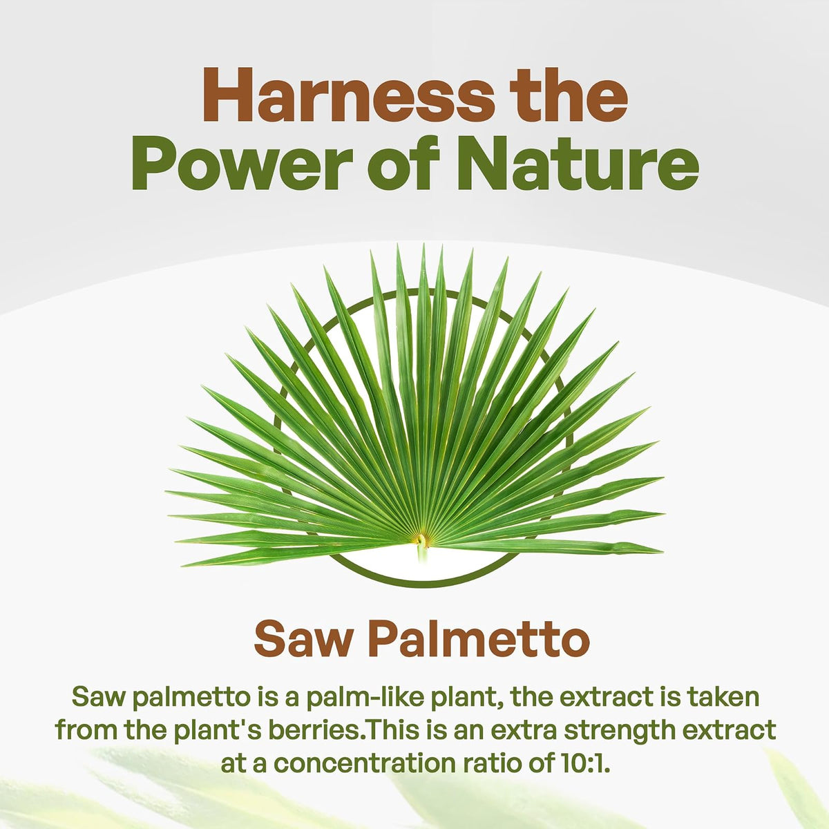 natural saw palmetto supplement benefits