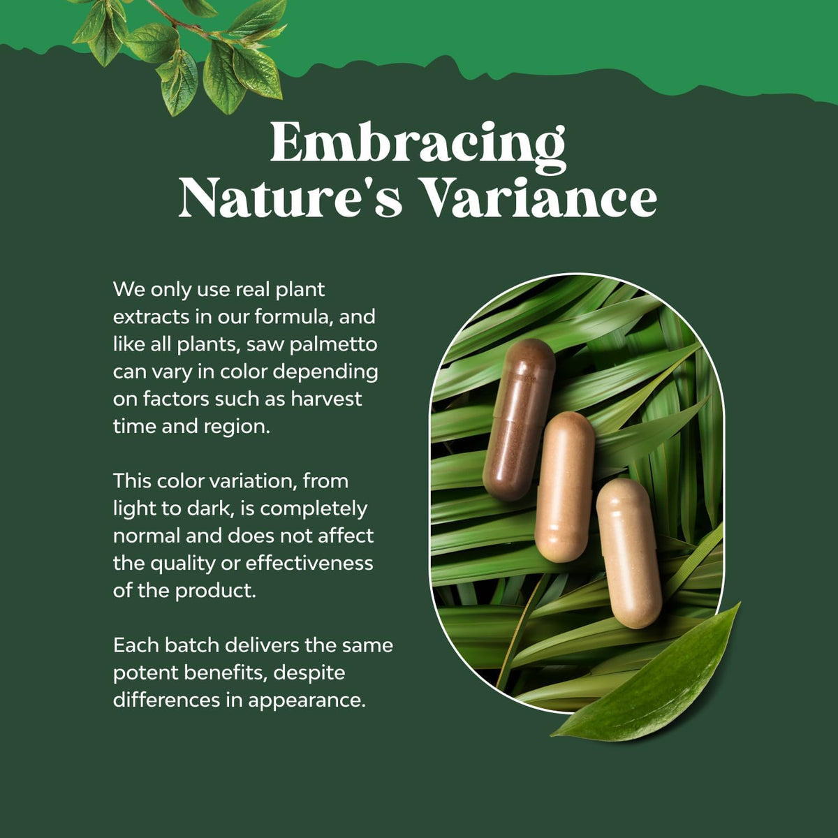 natural saw palmetto supplement