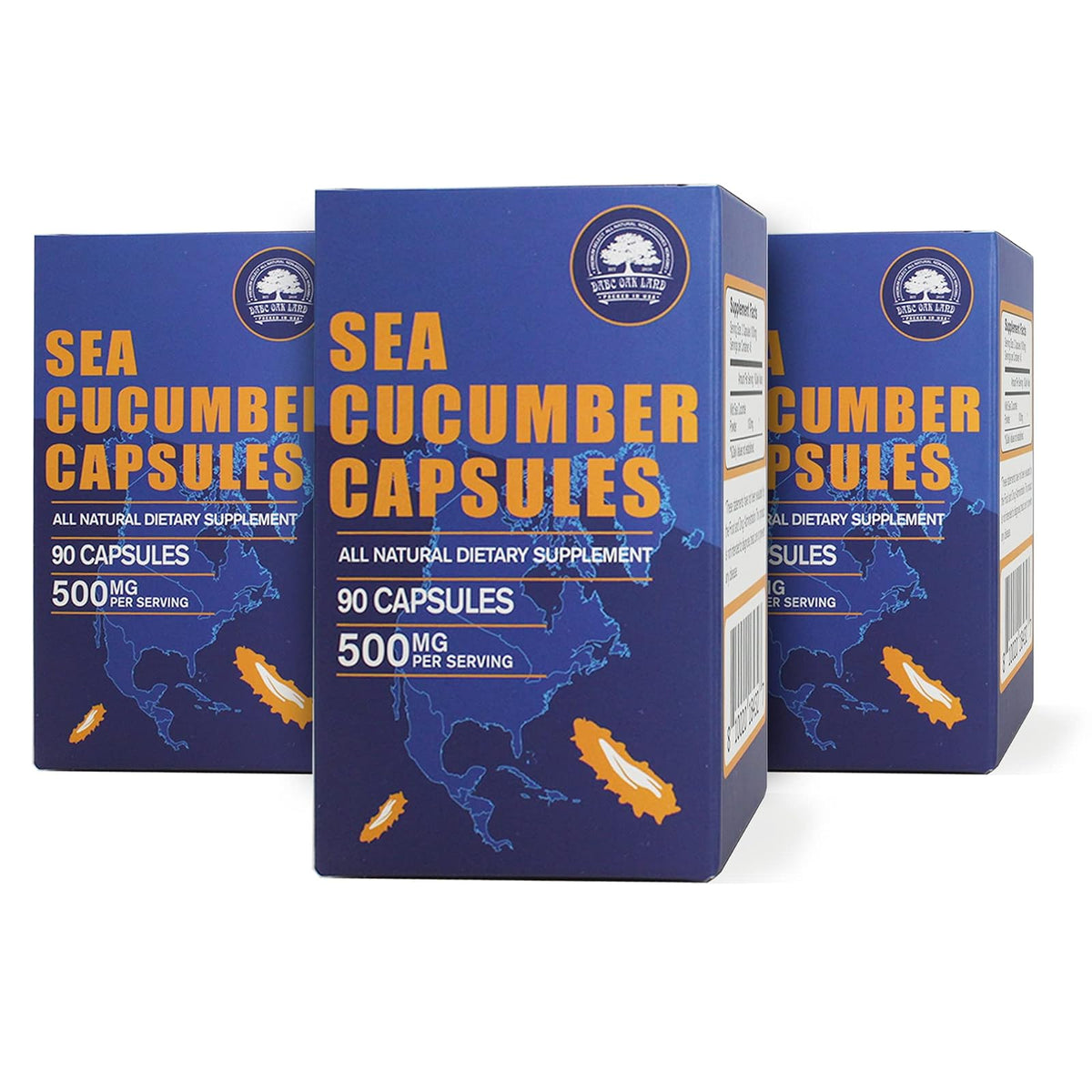 Natural sea cucumber health benefits
