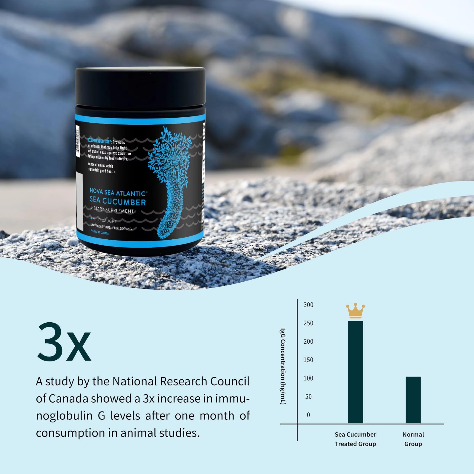 natural sea cucumber health benefits