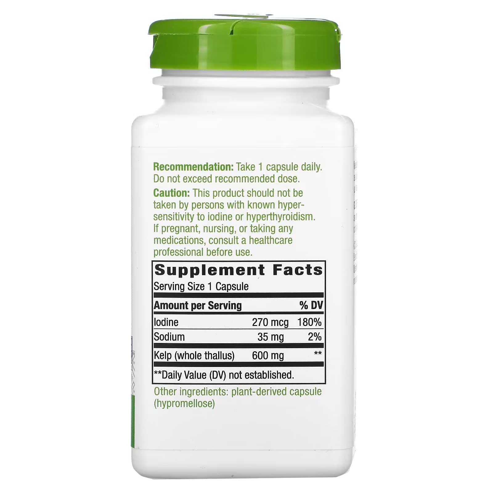 natural sea kelp health benefits