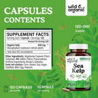 natural sea kelp supplement benefits