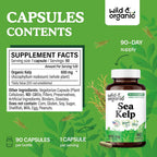 natural sea kelp supplement benefits