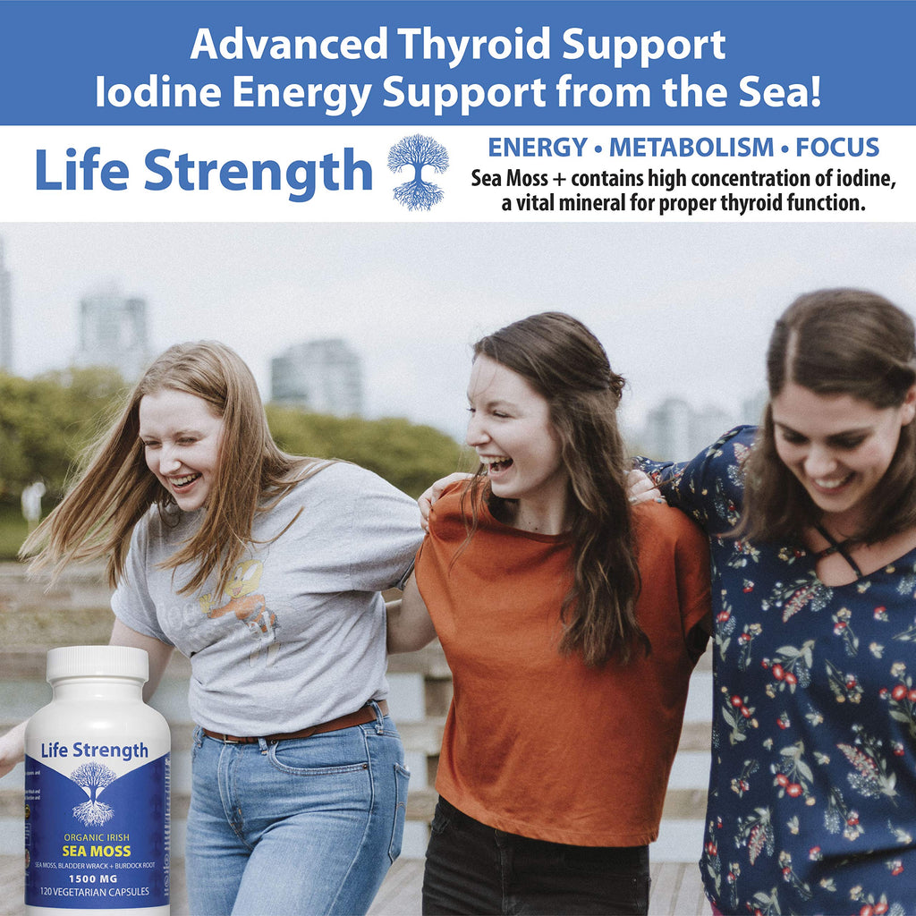 natural sea moss capsules for gut health