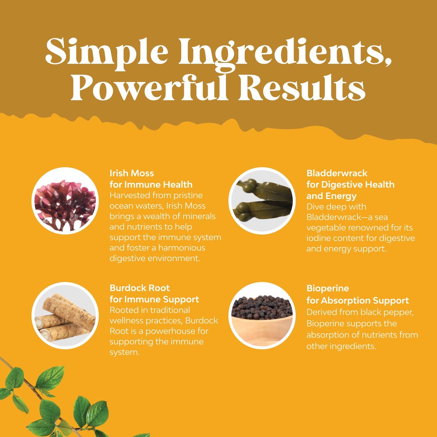 natural sea moss capsules for vitality