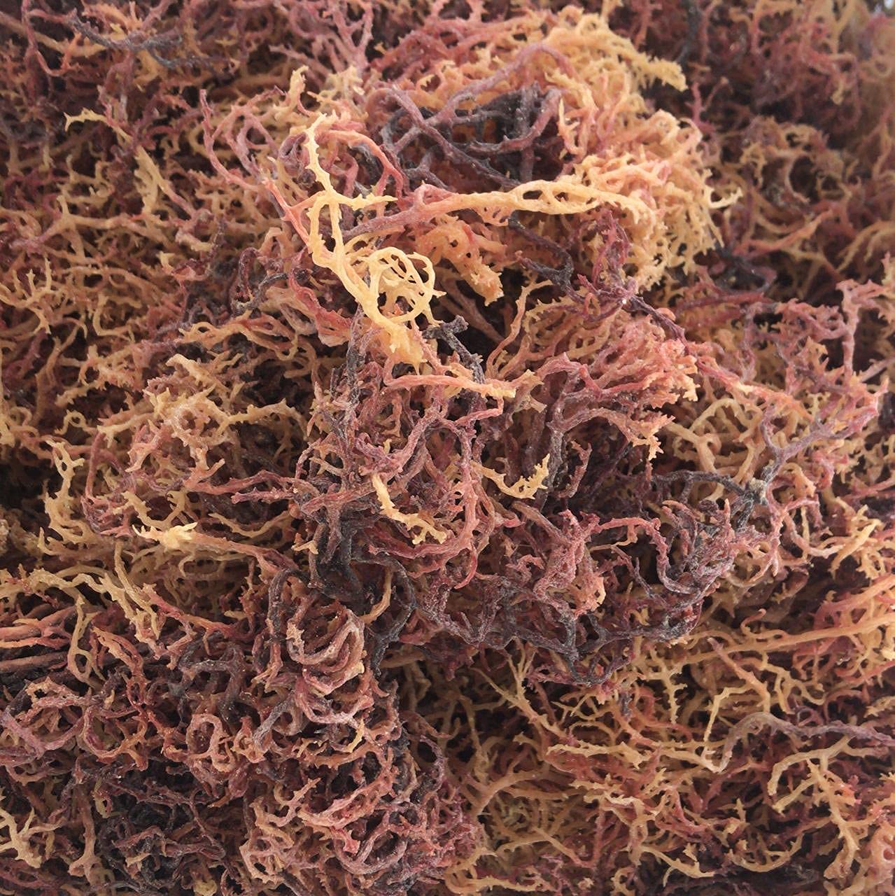 natural sea moss for detox