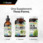 Natural sea moss for immune support