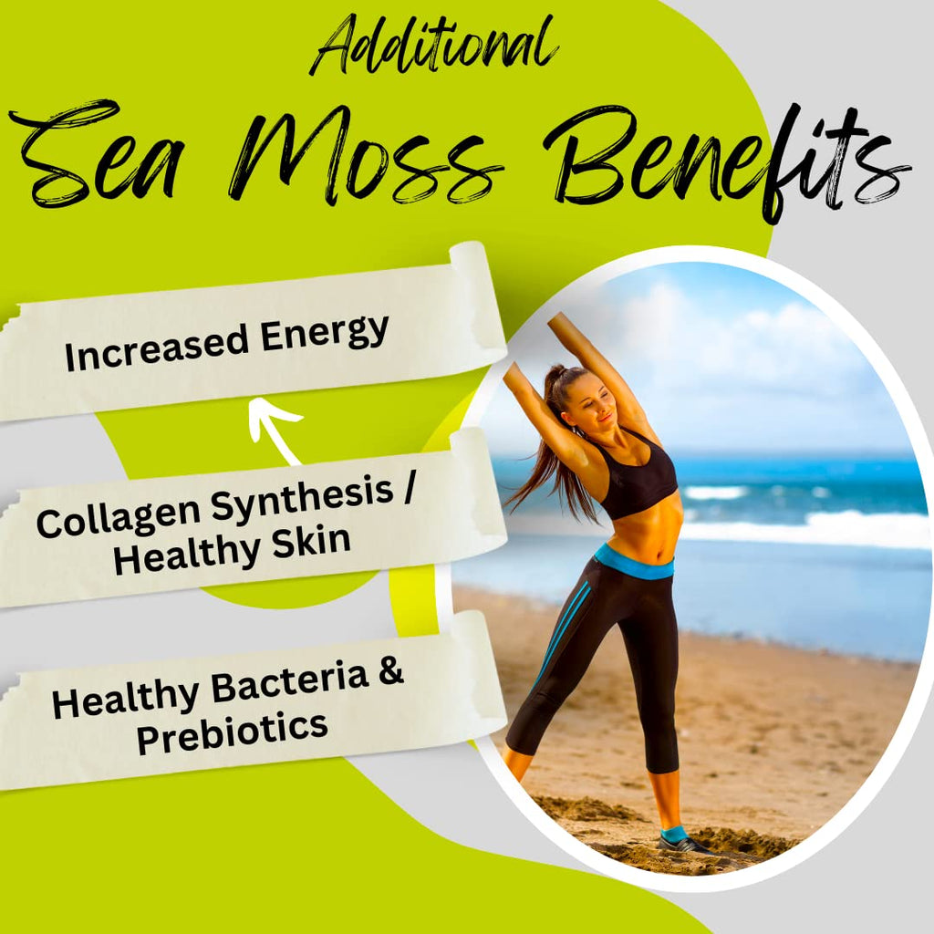 natural sea moss for immune support