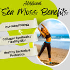 natural sea moss for immune support