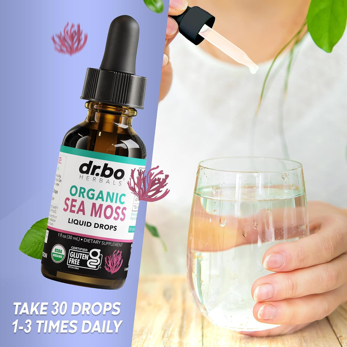 natural sea moss for skin health