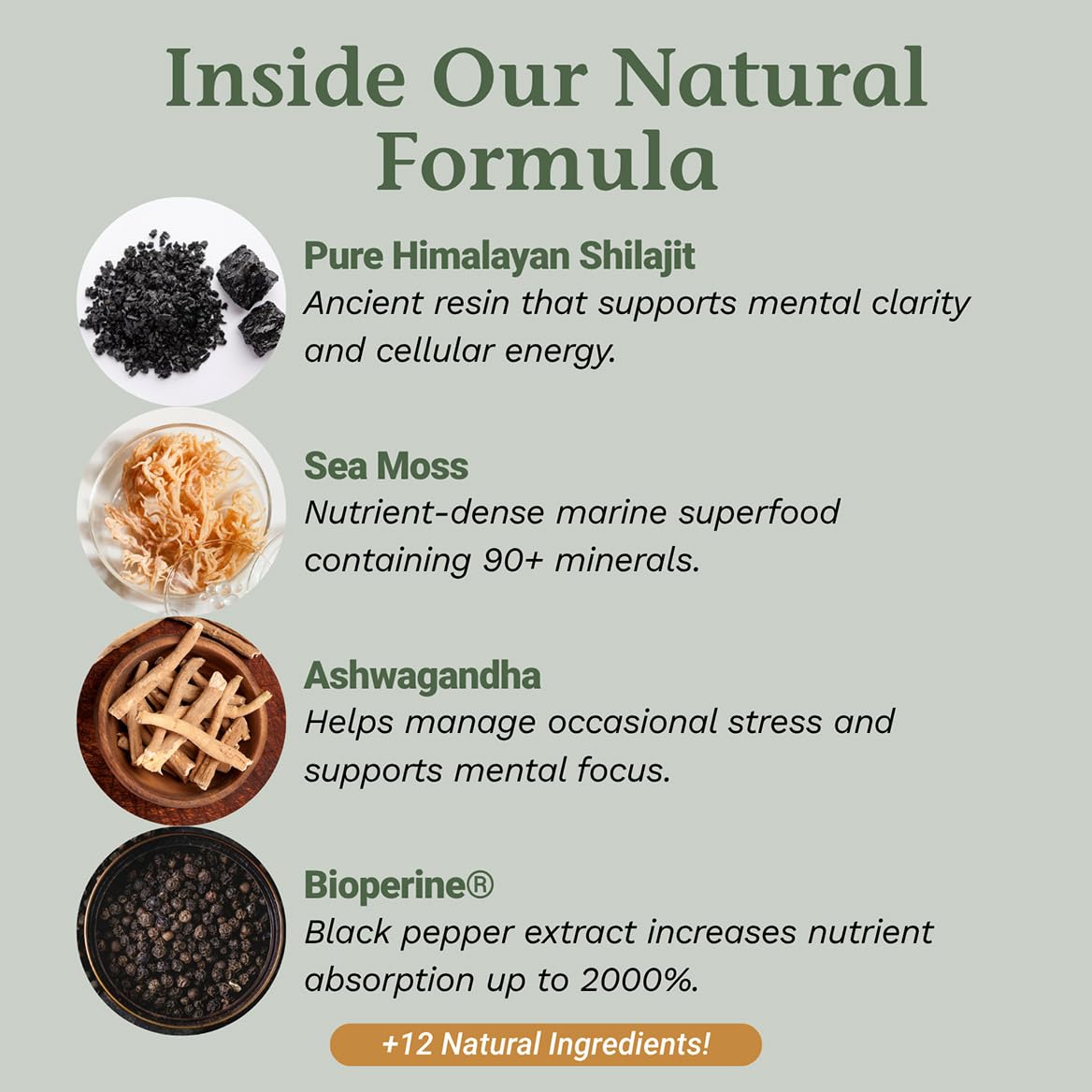 natural sea moss health benefits