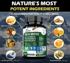 natural sea moss supplement benefits