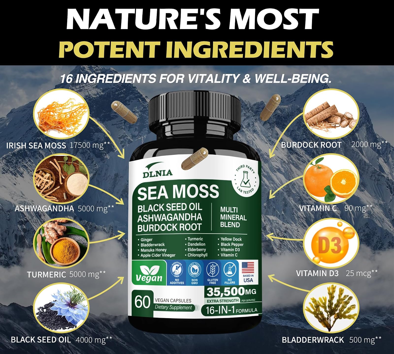 natural sea moss supplement benefits