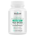 natural sea moss supplement capsules