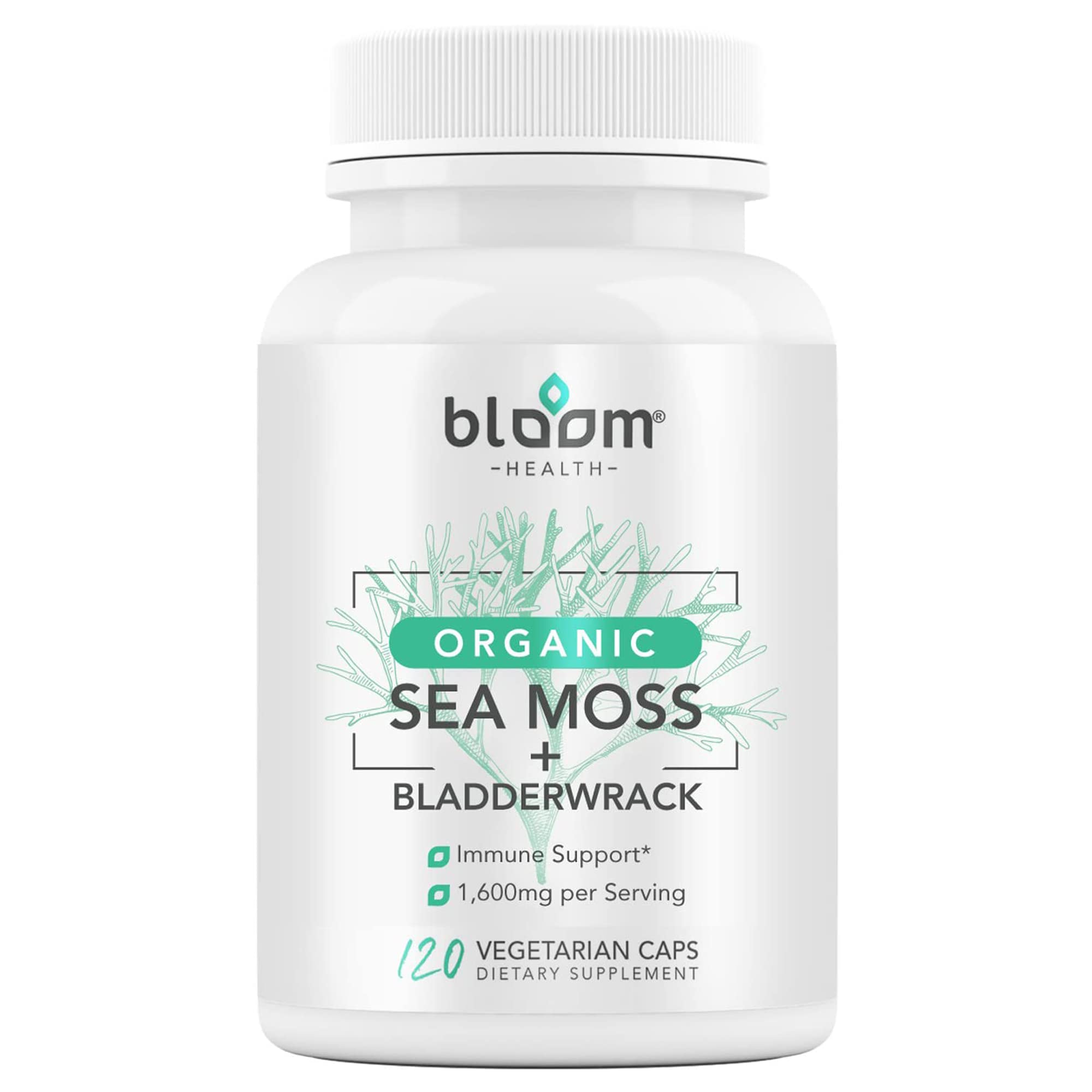 natural sea moss supplement capsules