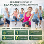 Natural sea moss supplement capsules
