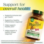 natural sea moss supplement capsules