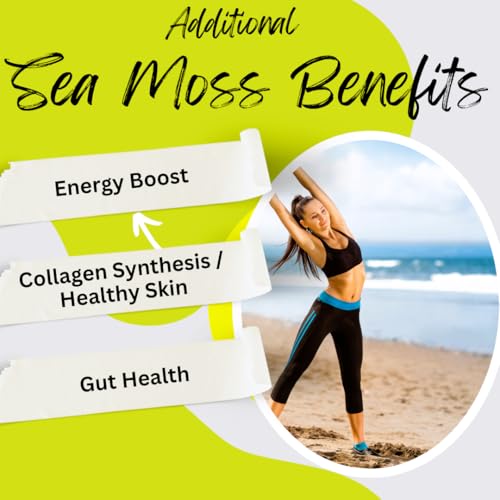 natural sea moss supplement for vitality