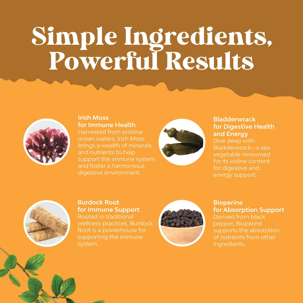 natural sea moss supplement for wellness