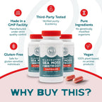 Natural sea moss supplement for wellness