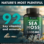 natural sea moss supplement for wellness