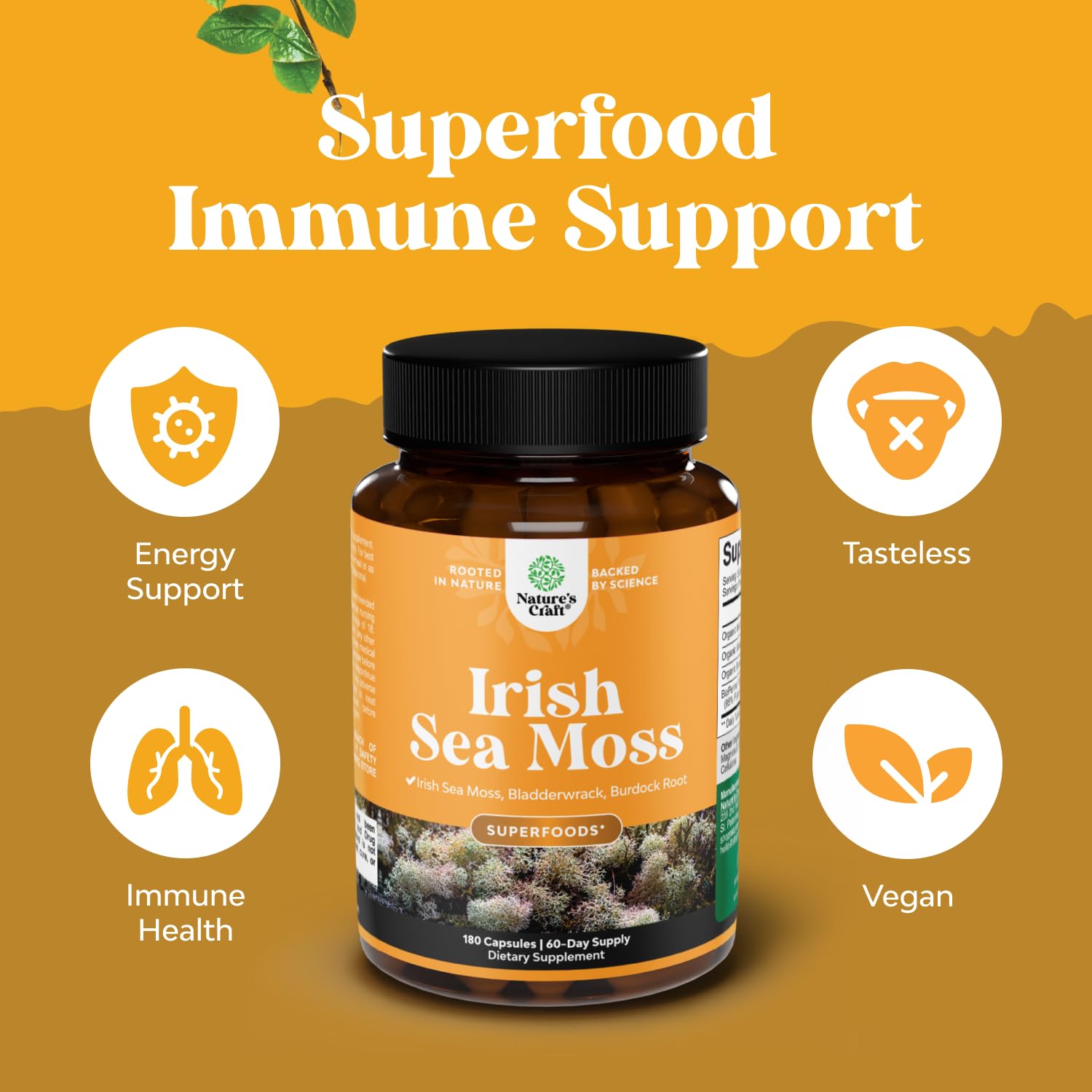 natural sea moss supplement with bladderwrack