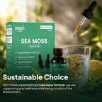natural sea moss supplement
