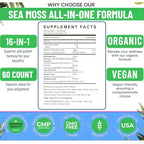 natural sea moss vitamin benefits