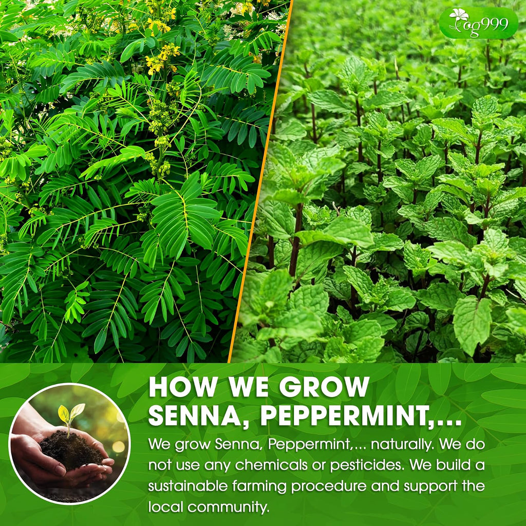 Natural Senna herbal tea blend