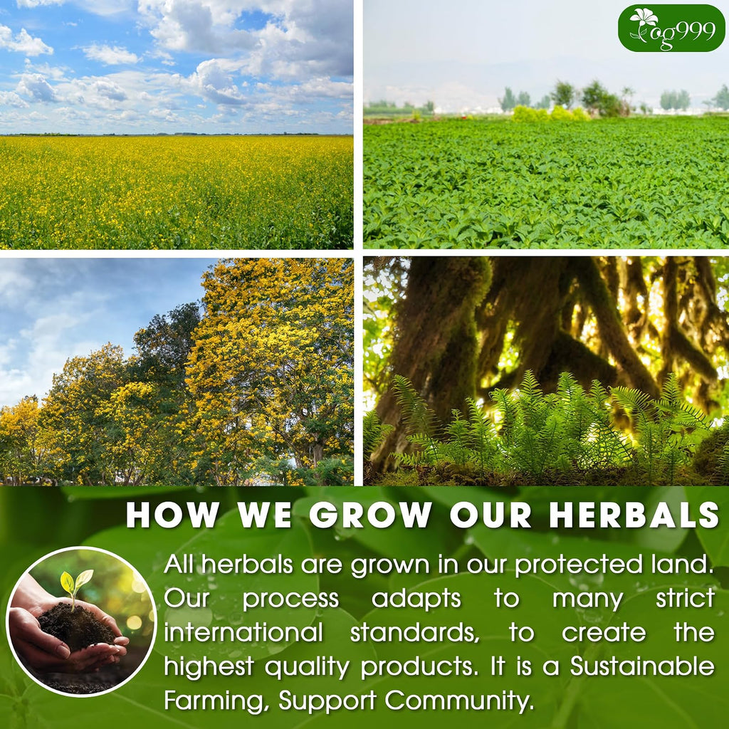 natural senna leaf tea benefits