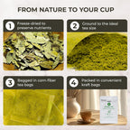 natural senna tea for wellness