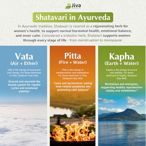 natural shatavari supplement for energy