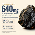 natural Shilajit capsules for wellness