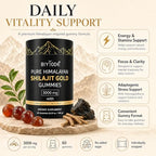 natural shilajit gummies for wellness