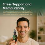 natural shilajit resin benefits