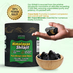 natural shilajit resin for wellness