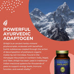 natural shilajit resin supplement benefits