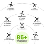 Natural shilajit resin supplement benefits