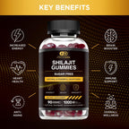 Natural shilajit resin supplement benefits