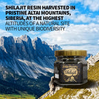 natural shilajit resin supplement