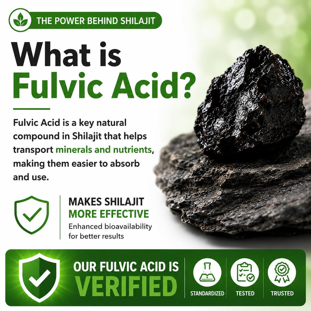 natural shilajit supplement benefits