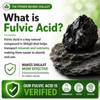 natural shilajit supplement benefits