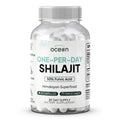 natural shilajit supplement capsules