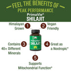 natural shilajit supplement for wellness