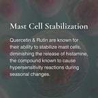 natural sinus and respiratory aid