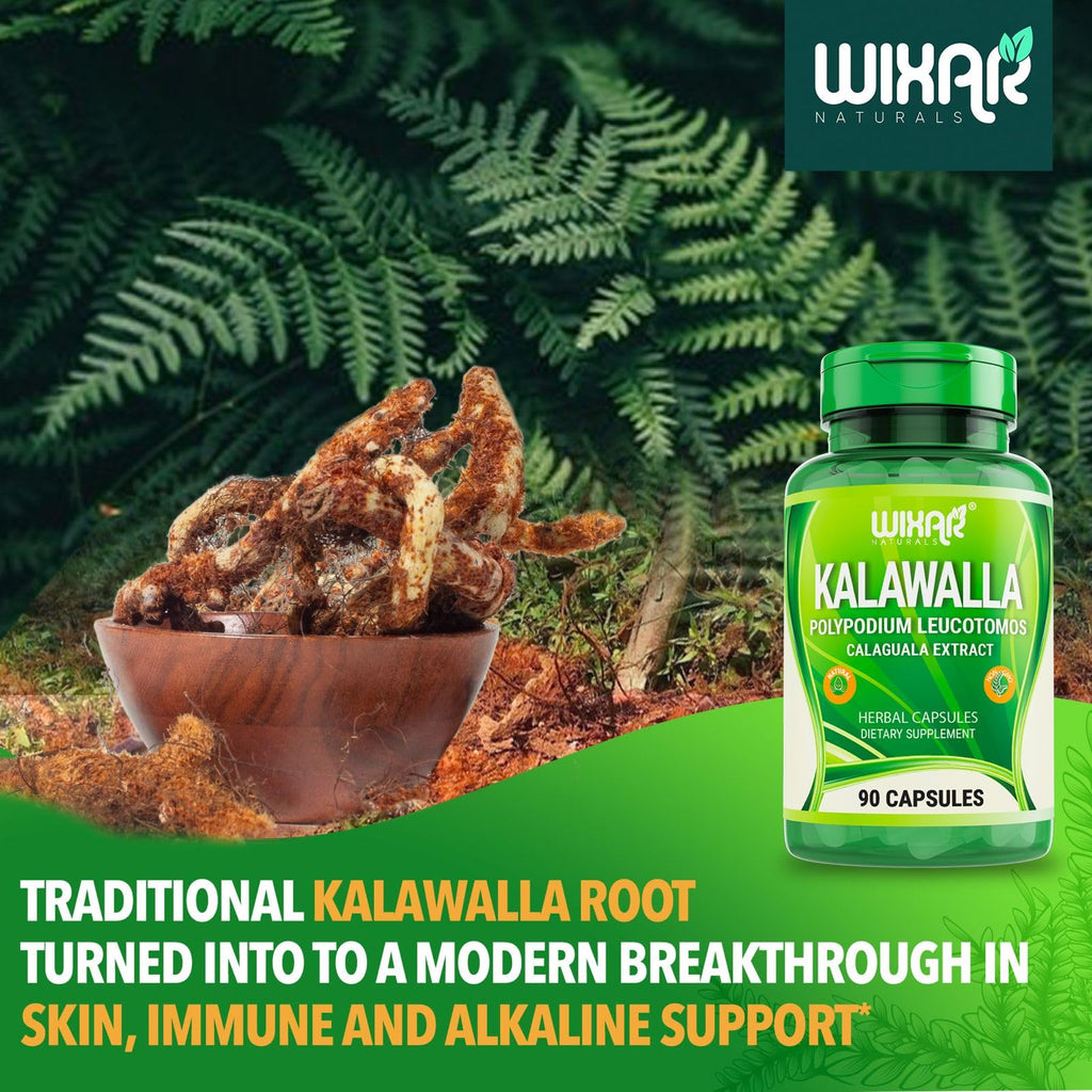 natural skin support with Calaguala fern