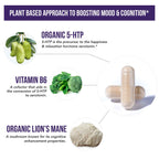 natural sleep aid 5-htp supplement