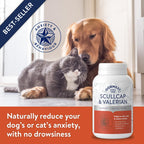 Natural sleep aid Dorwest Herbs tablets
