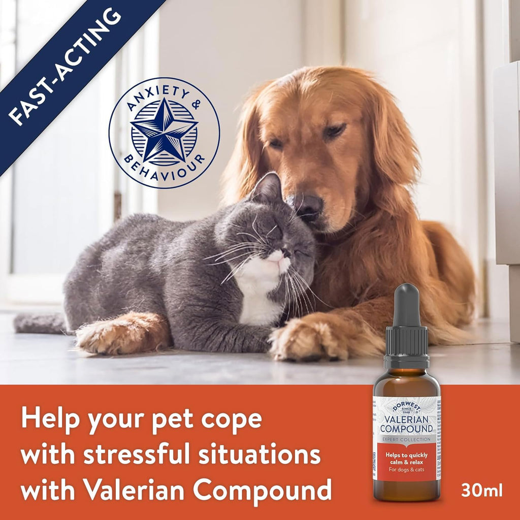 Natural sleep aid Dorwest Valerian