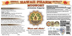 Natural sleep aid Mugwort extract
